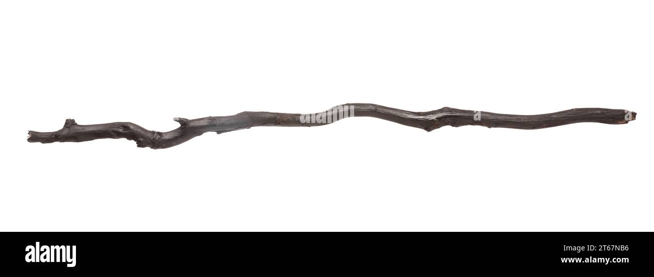 One old wooden stick isolated on white Stock Photo - Alamy