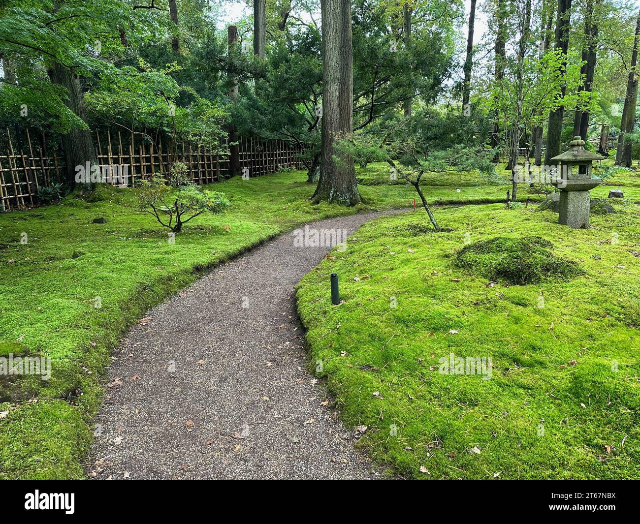 Bright moss, different plants, stone lantern and pathway in Japanese garden Stock Photo - Alamy