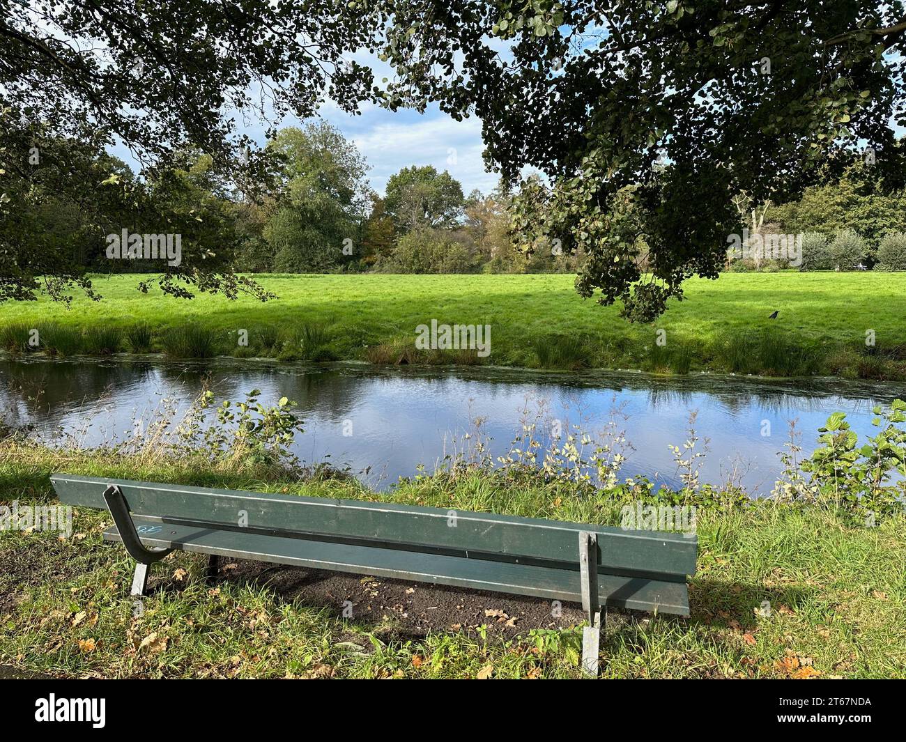 Empty bench near pond hi-res stock photography and images - Alamy