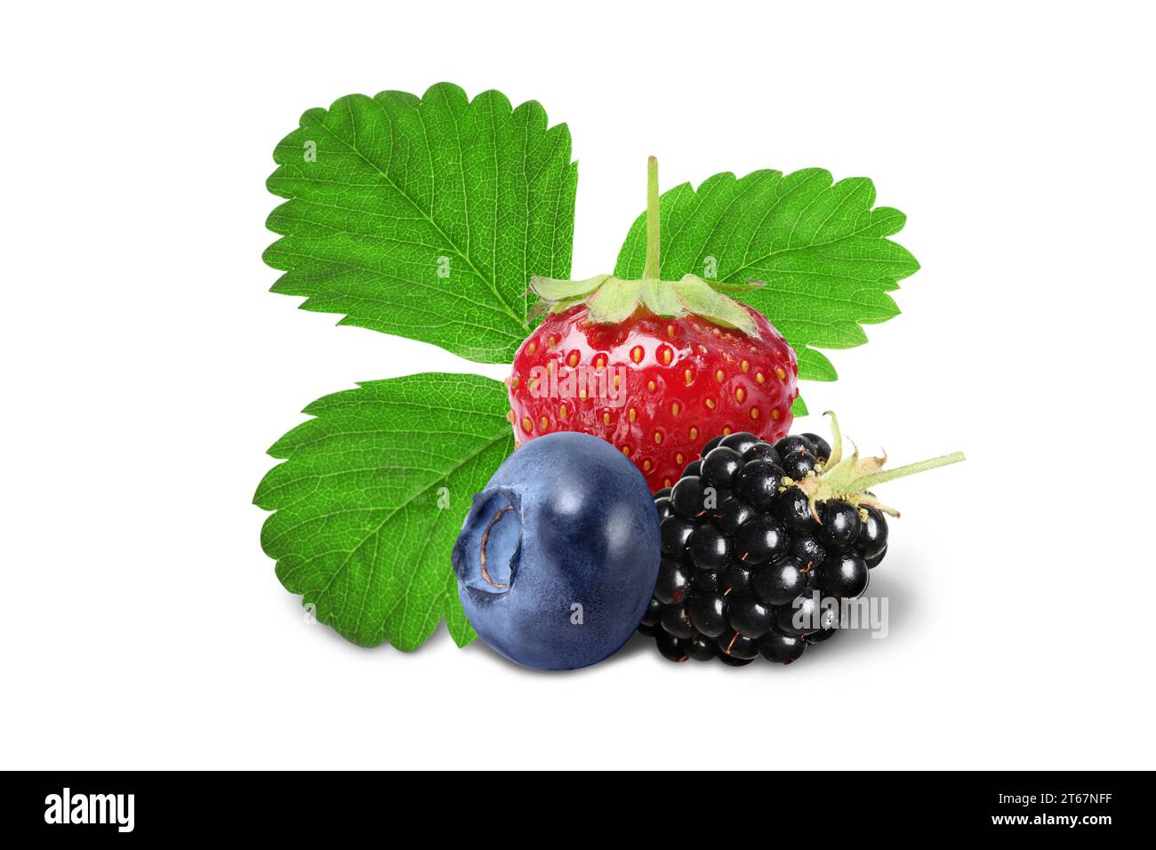 Different fresh ripe berries and green leaves isolated on white Stock ...