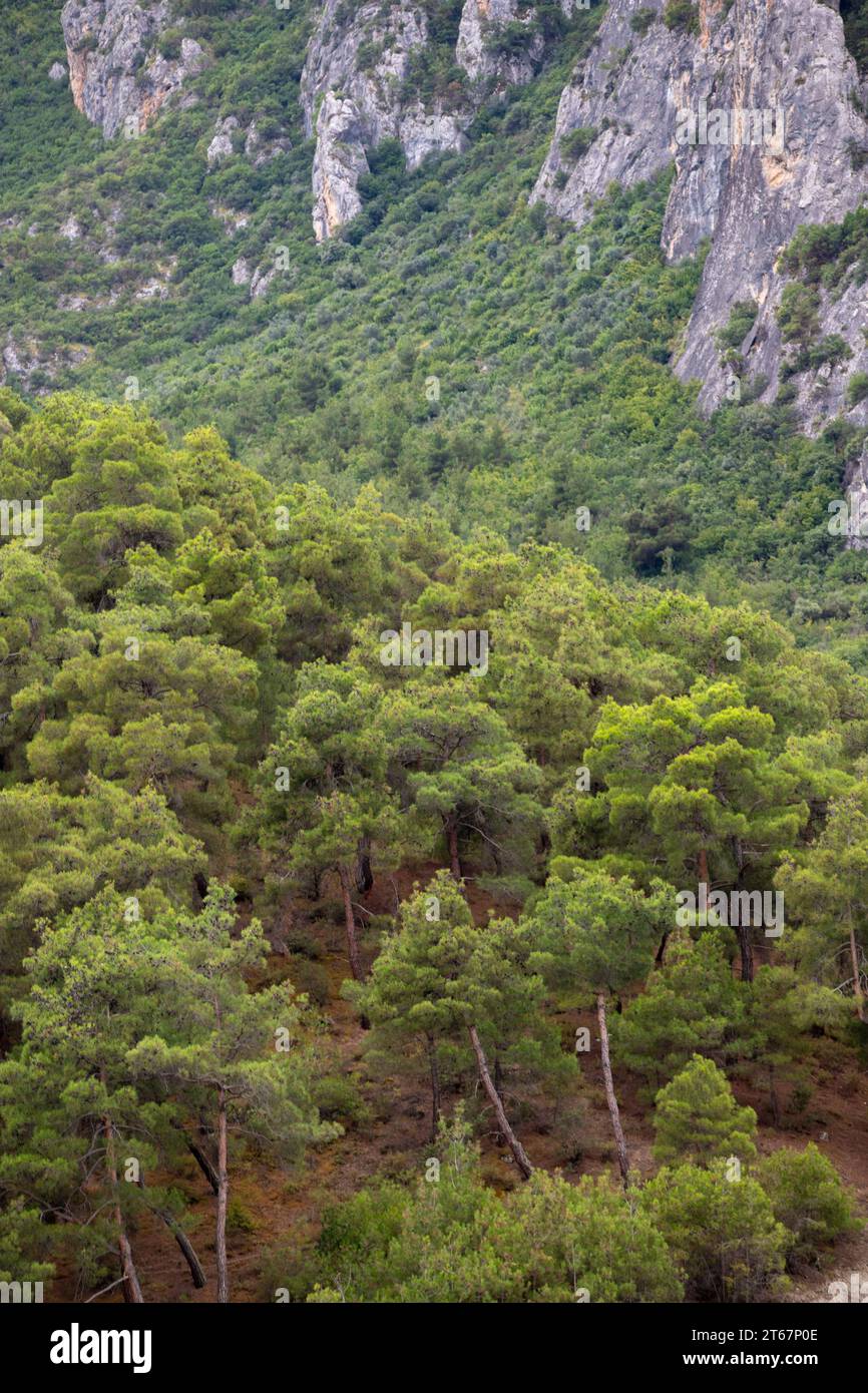 Vezirkopru canyon. Touristic canyon located on the Kızılırmak river ...