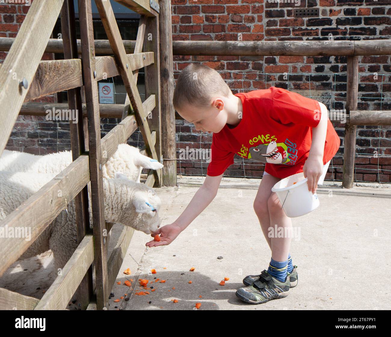 Boy wearing shorts hi-res stock photography and images - Alamy