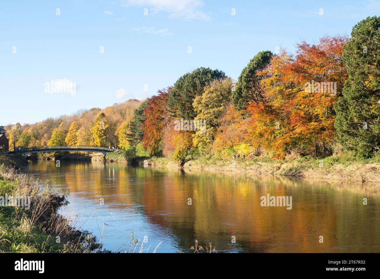 Autumn colours reflected in the river Wear in Durham city, England, UK ...