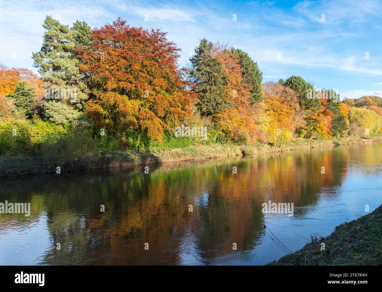 Autumn colours reflected in the river Wear in Durham city, England, UK ...