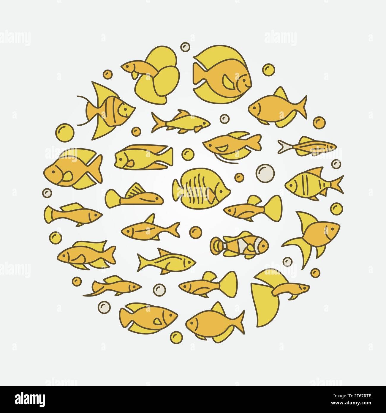 Danio rerio isolated Stock Vector Images - Alamy