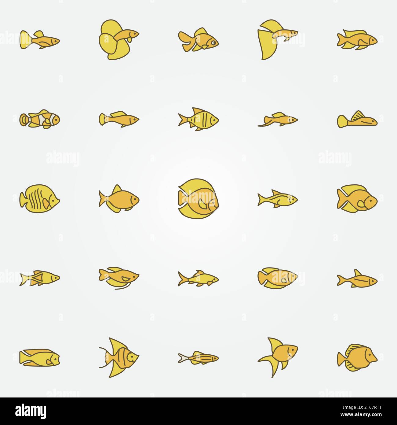 Mollienesia Stock Vector Images - Alamy