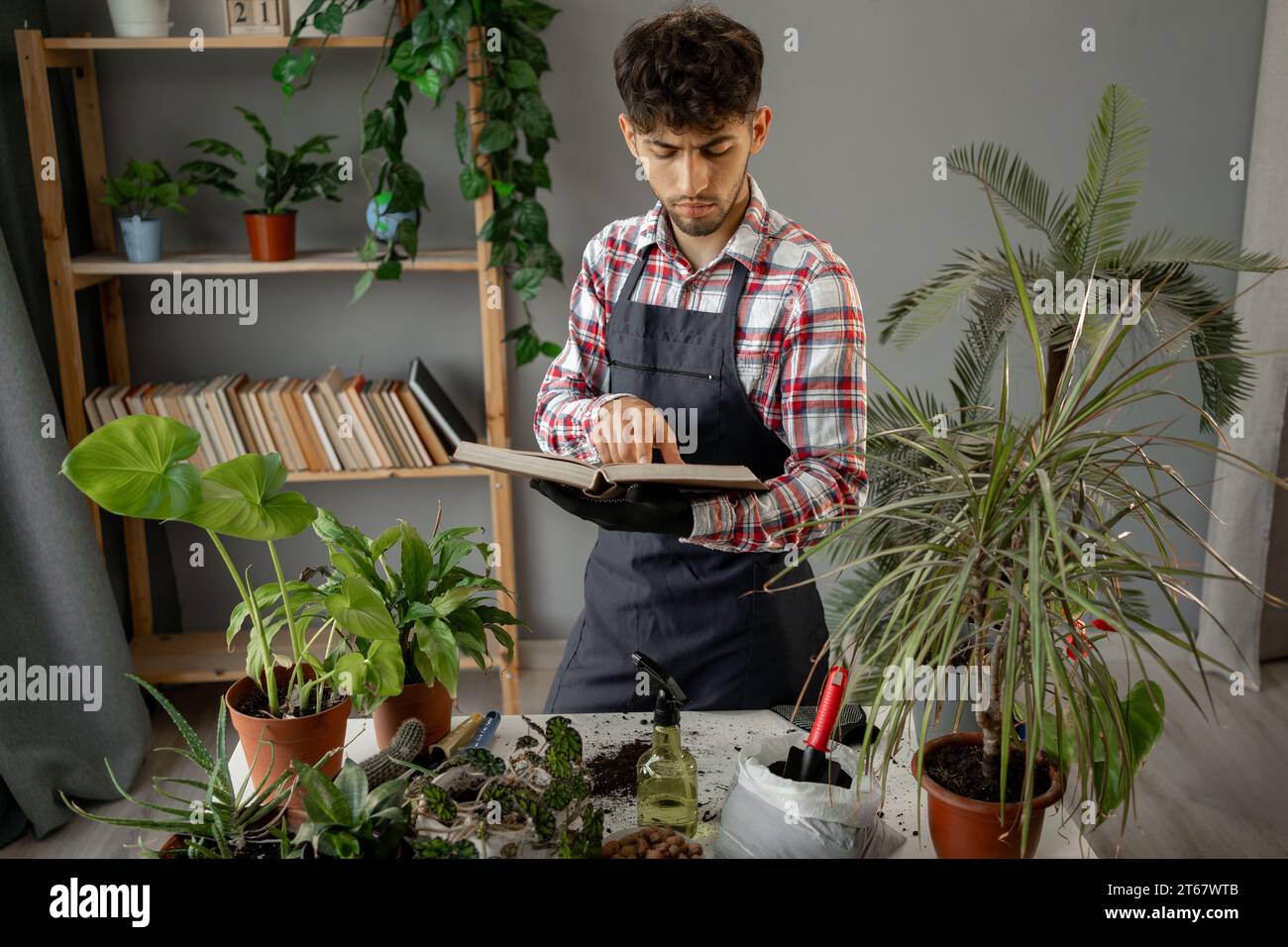 Relaxing home gardening. Young happy Arabic man with potted plant and ...