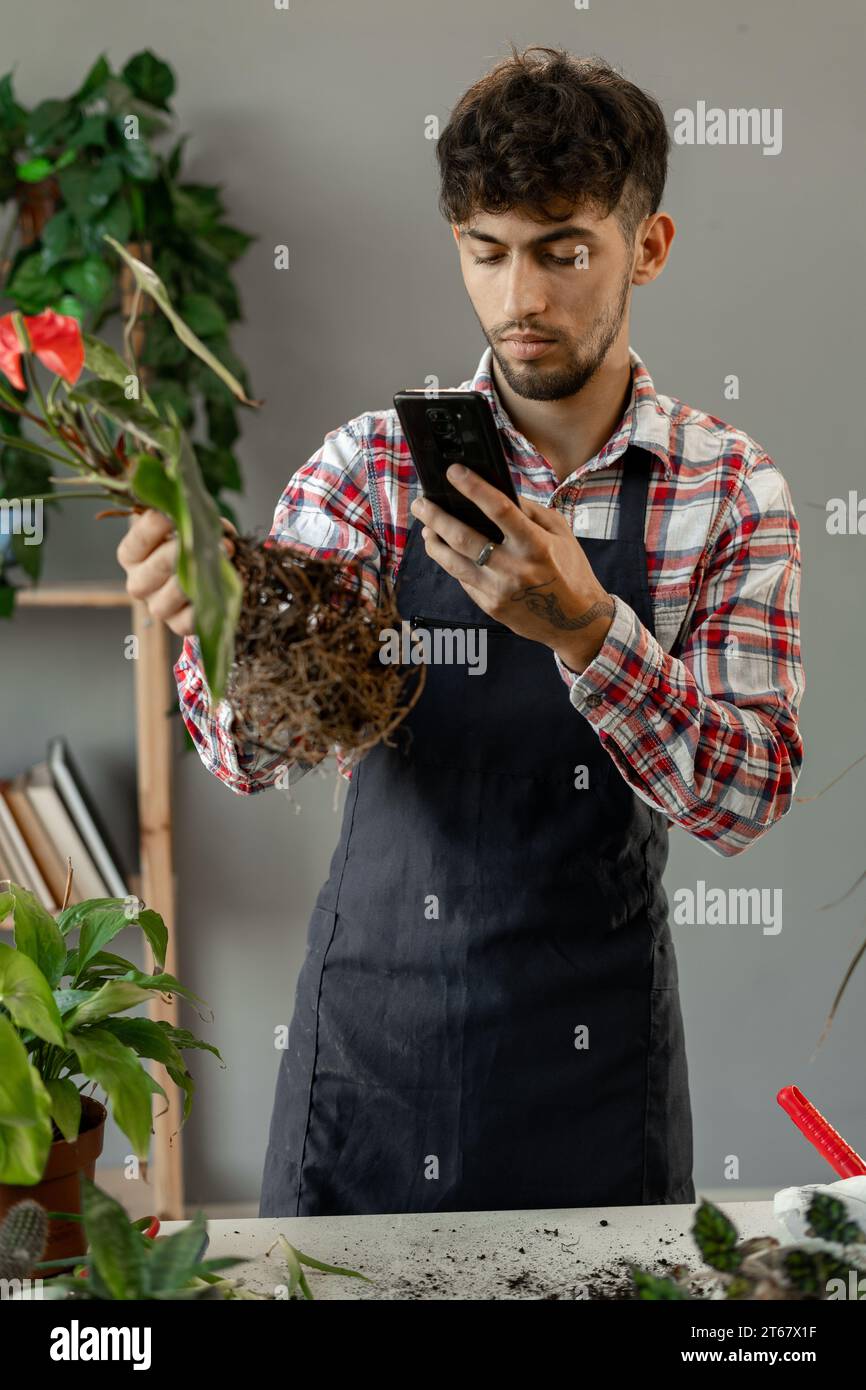 Gardening concept. Young gardener male photographing house green plant ...