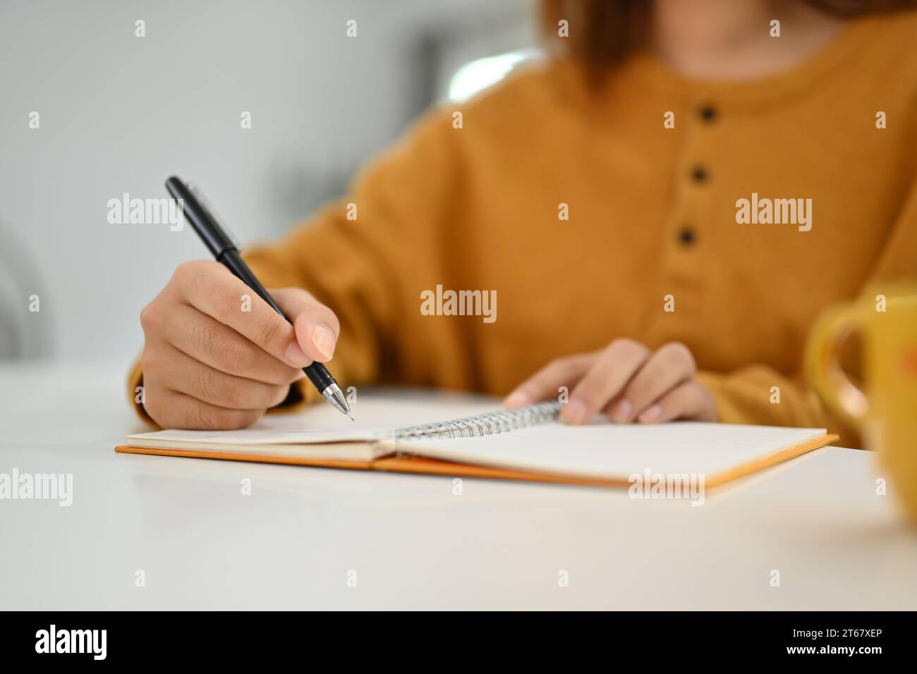 Closeup woman hand writing notes in personal daily planner, planning ...
