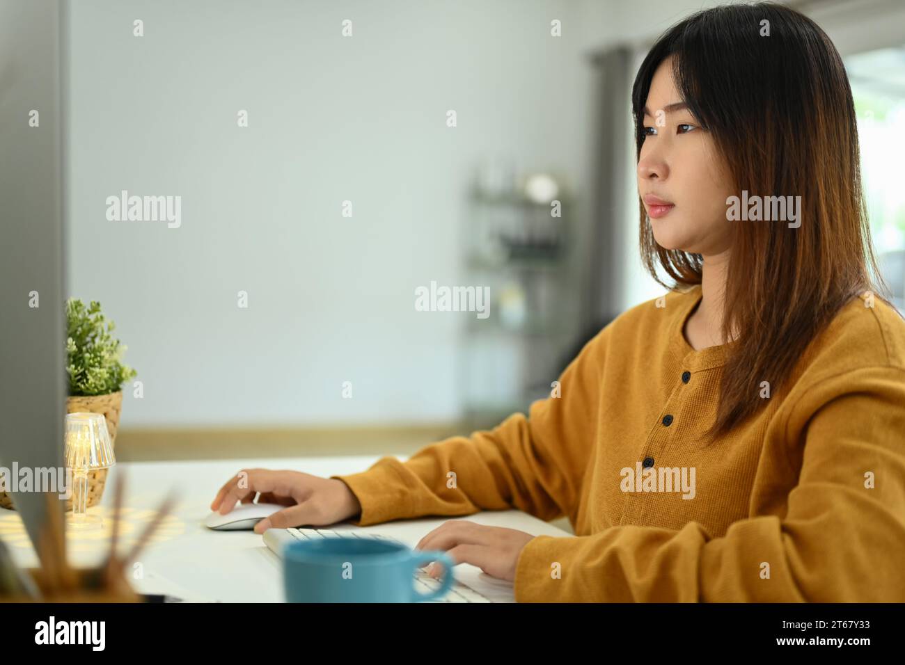 Concentrate young Asian female looking at computer screen working ...
