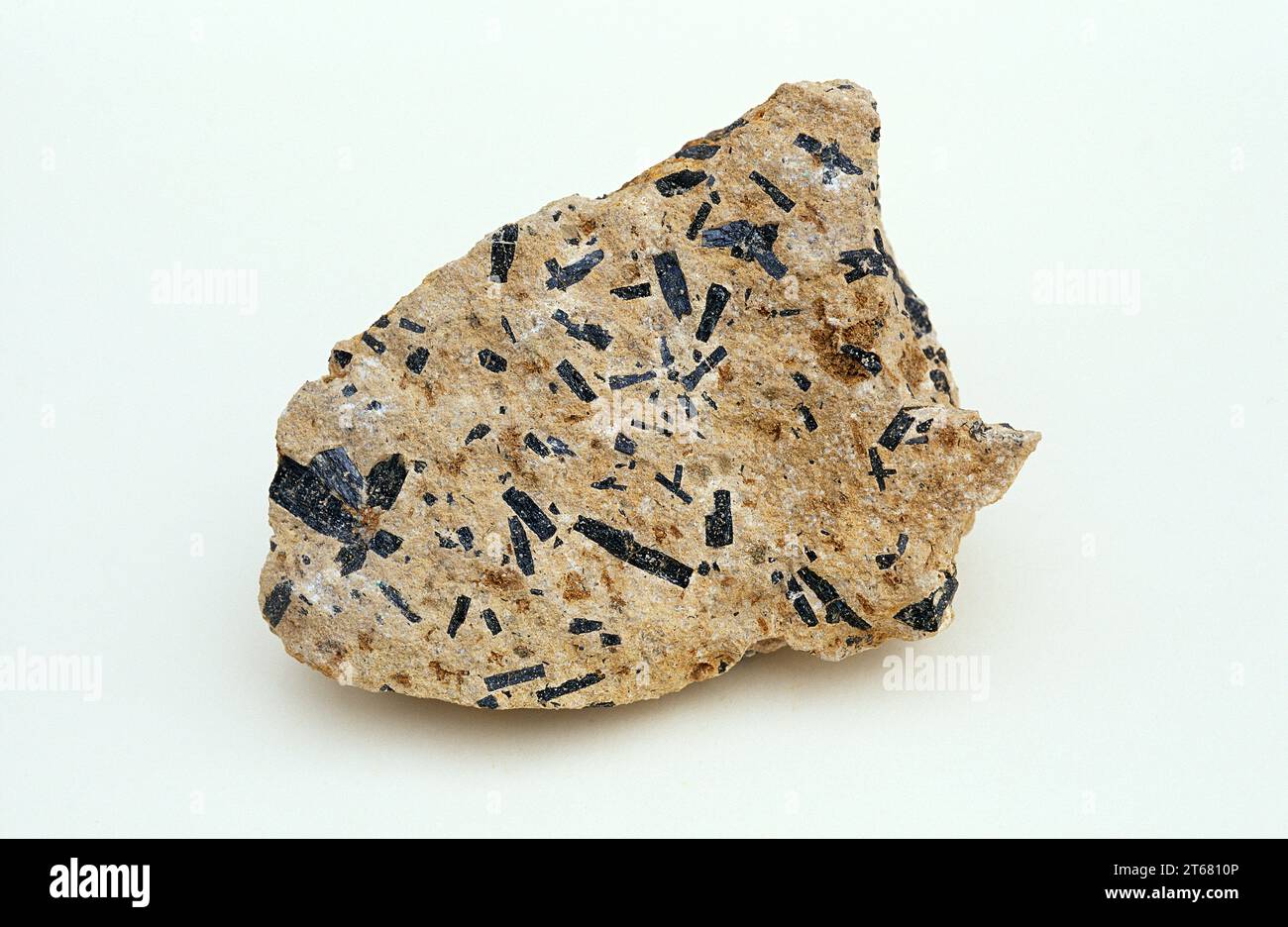 Andesite is a volcanic rock of intermediate composition. This sample ...