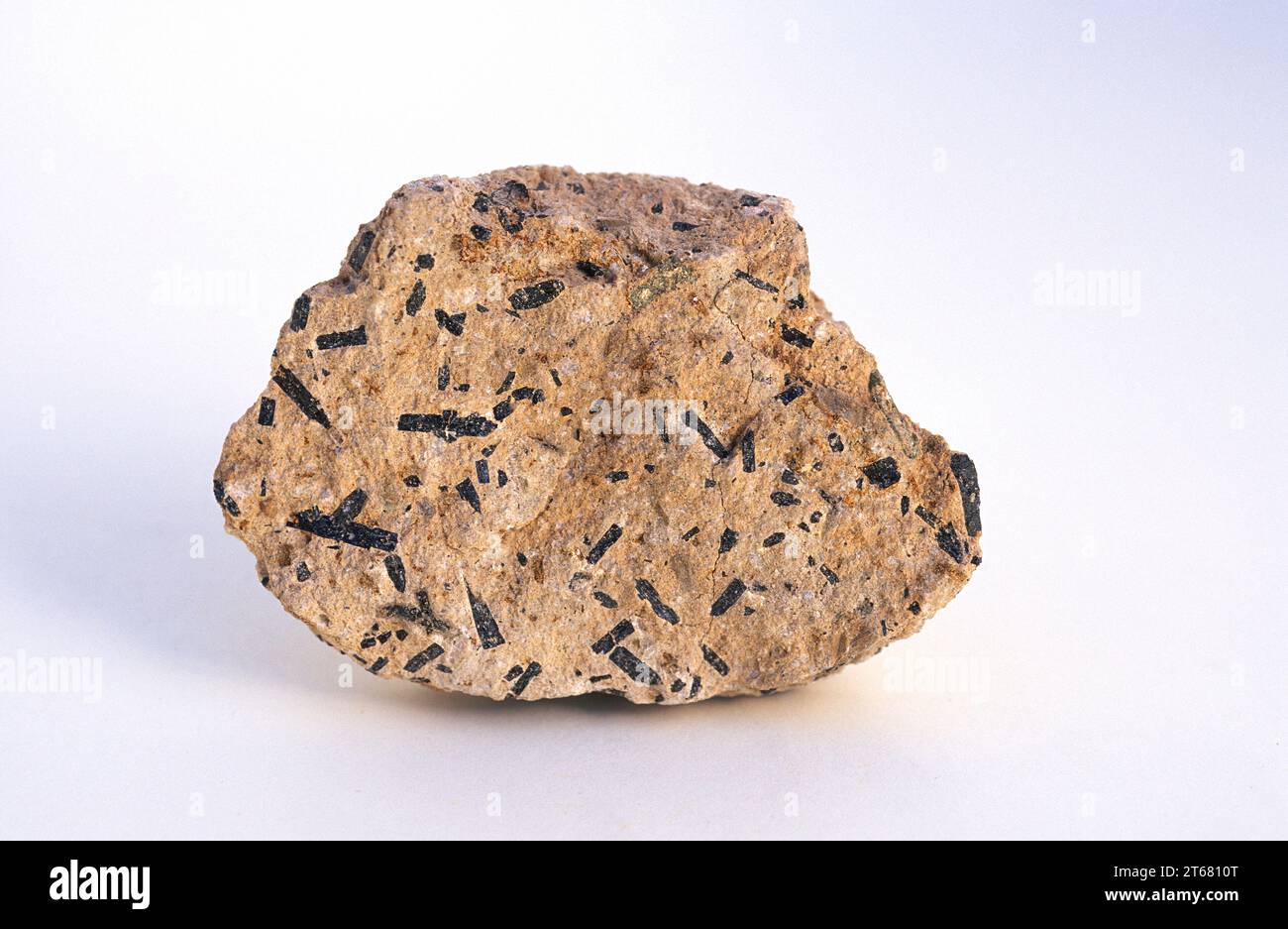 Andesite is a volcanic rock of intermediate composition. This sample ...