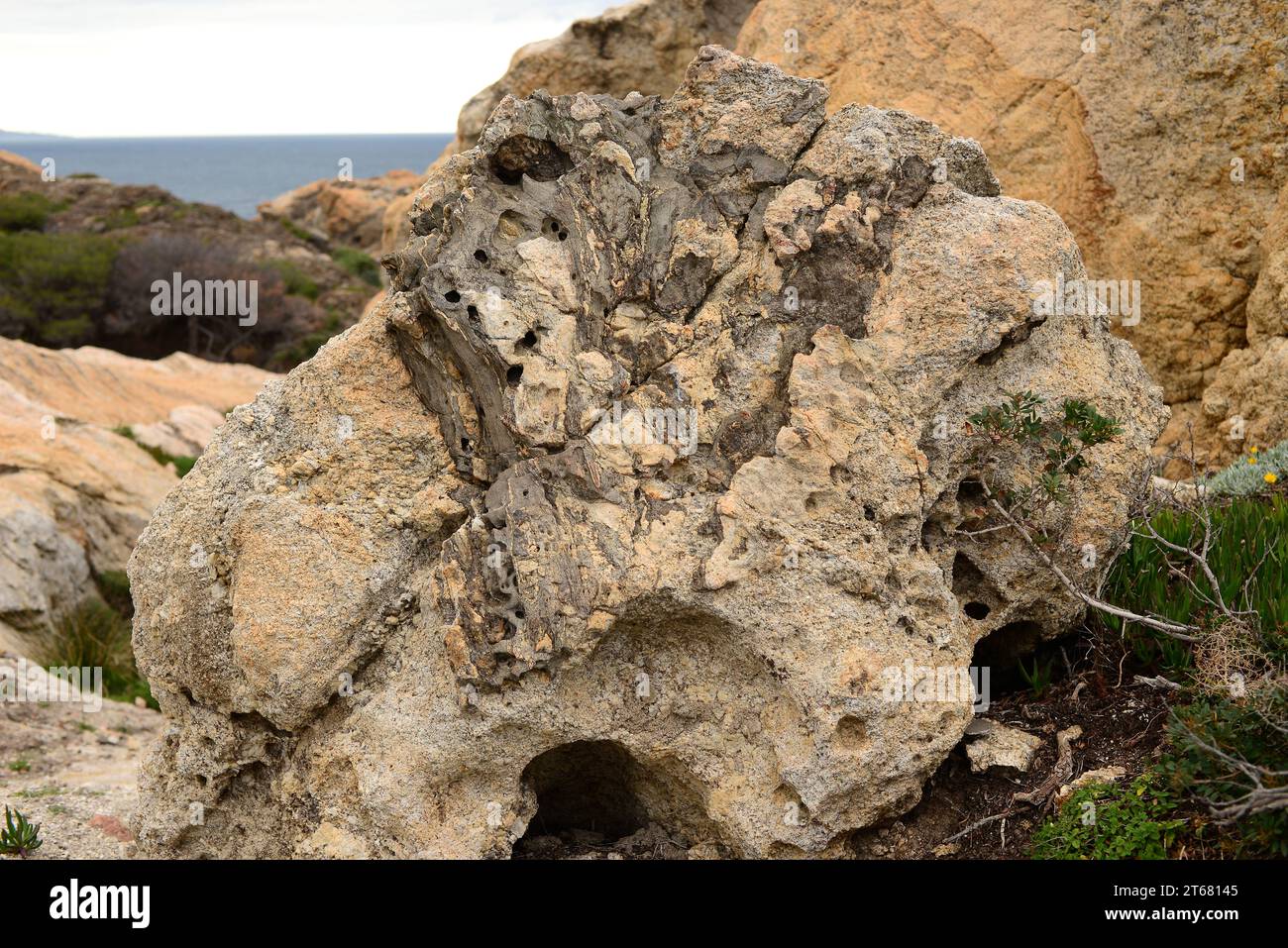 Pegmatite dike (igneous rock) in Cap Creus Natural Park, Girona ...