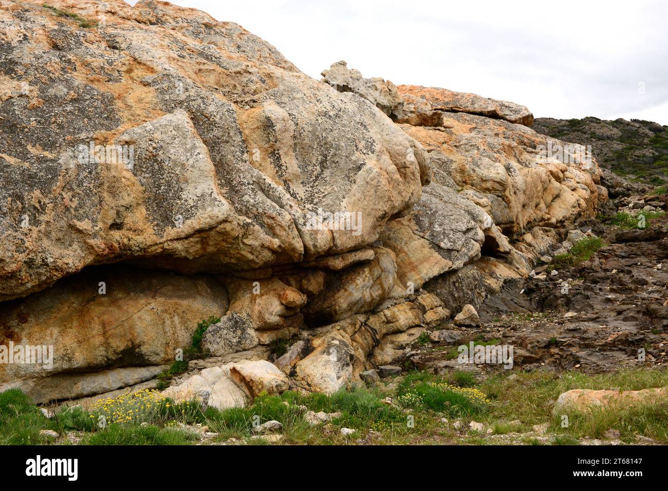 Pegmatite dike (igneous rock) in Cap Creus Natural Park, Girona ...
