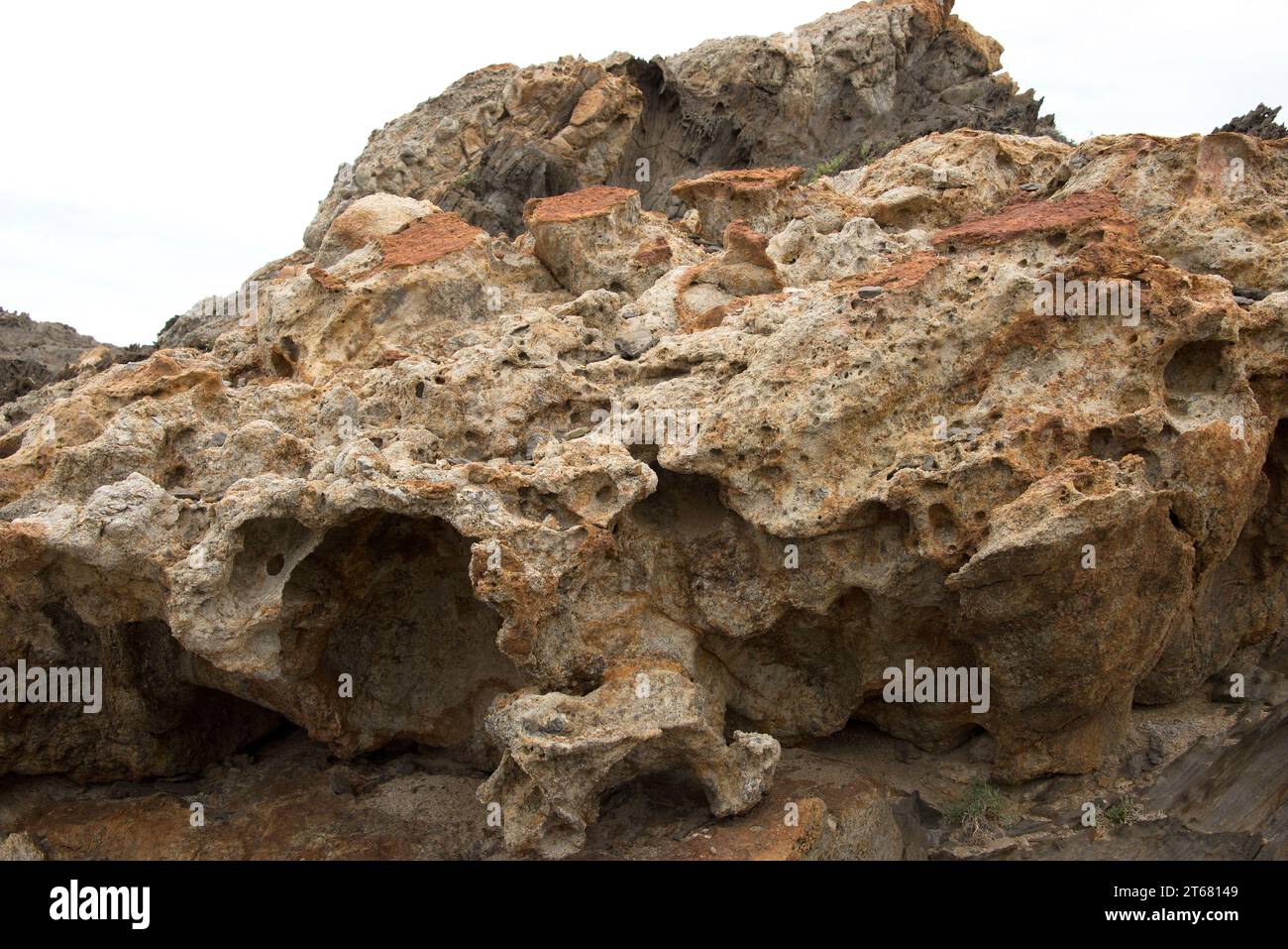 Pegmatite dike (igneous rock) in Cap Creus Natural Park, Girona ...