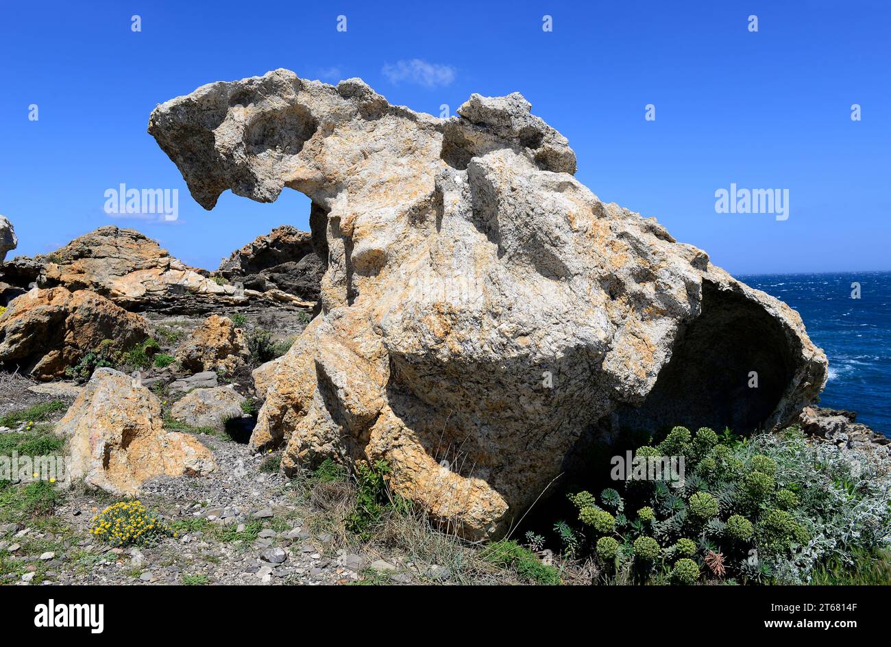 Pegmatite dike (igneous rock) in Cap Creus Natural Park, Girona ...
