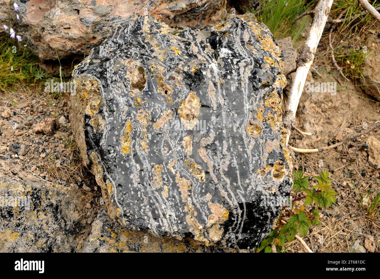 Obsidian is a volcanic glass. Obsidian Cliff, Yellowstone National Park ...