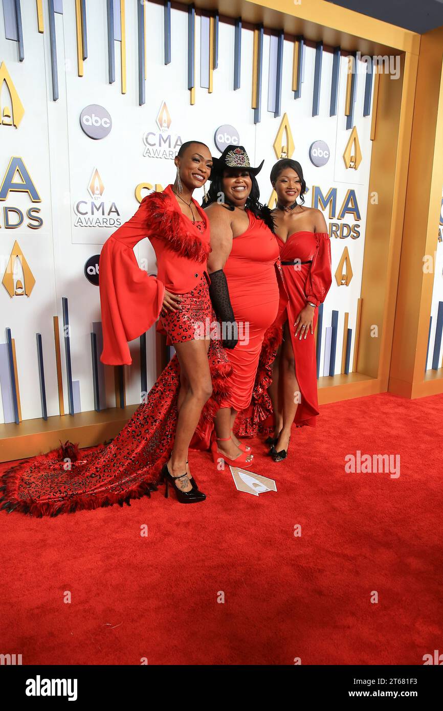 Nashville, United States. 08th Nov, 2023. Danica Hart, Trea Swindle and ...