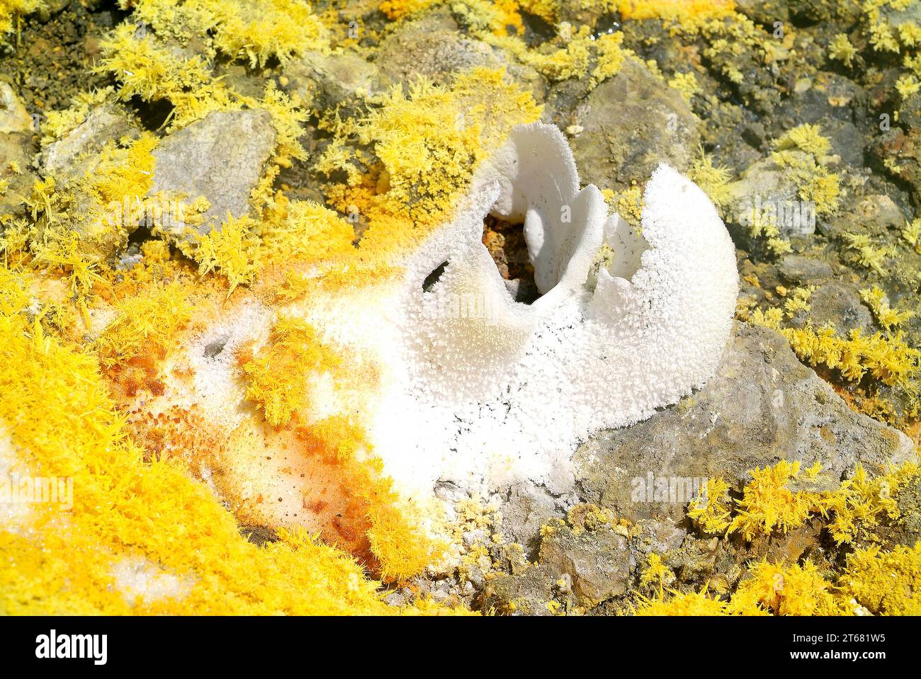 Fumaroles (gases, sulfur, halides, oxides and sulfates) in Vulcano ...