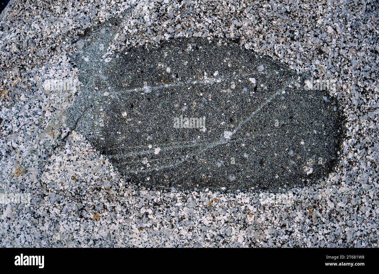 Xenolith is an inclusion in an igneous rock. Black xenolith in a ...