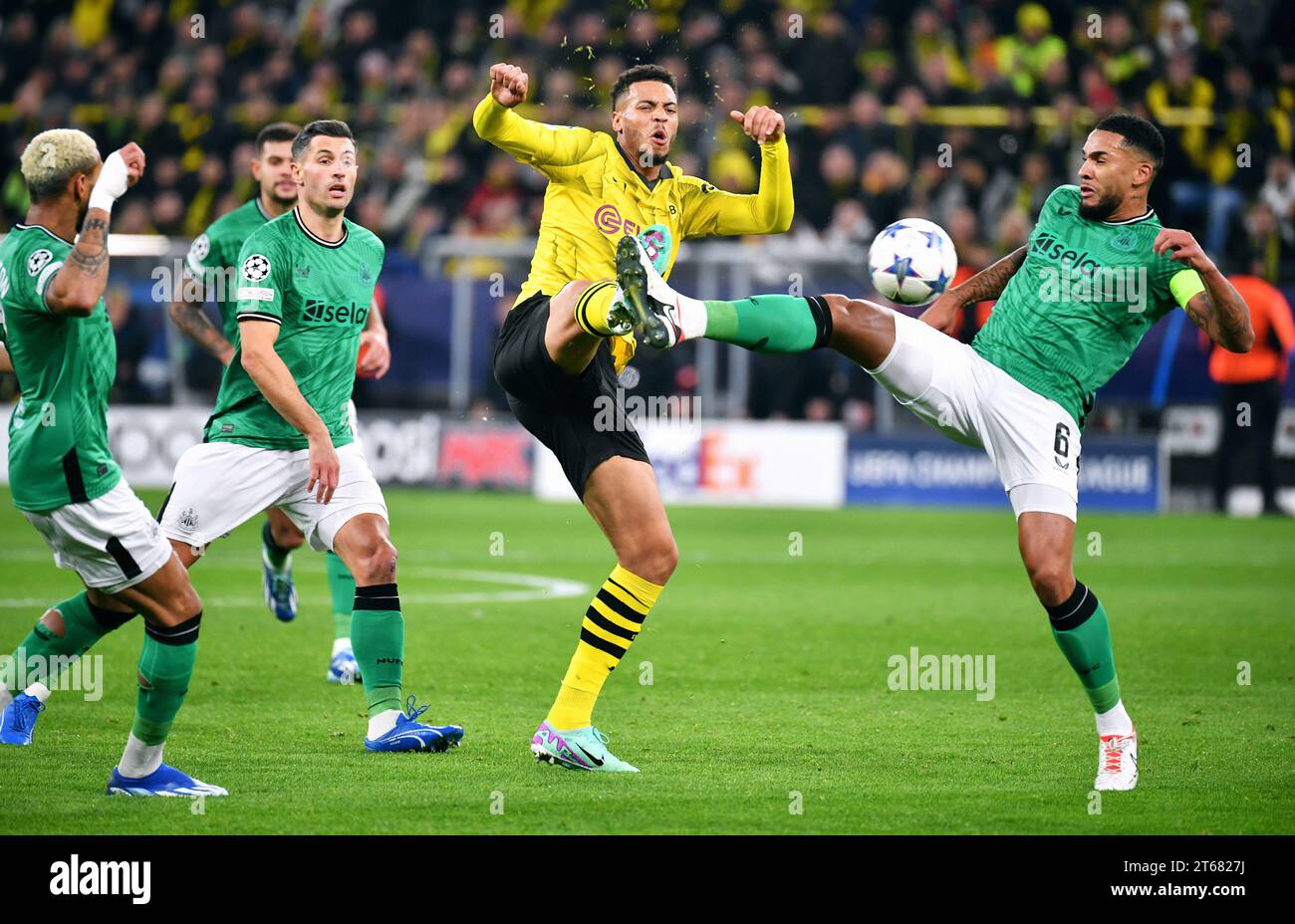 Champions League, Signal Iduna Park Dortmund: Borussia Dortmund vs ...