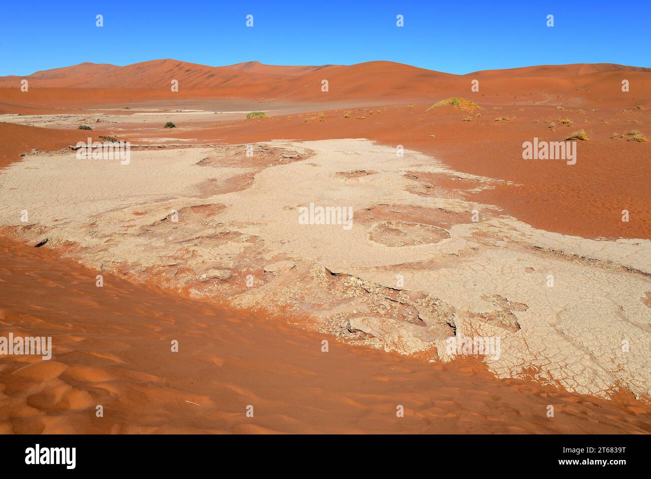 Namib Desert. Dunes and white clay pans. Namibia Stock Photo - Alamy