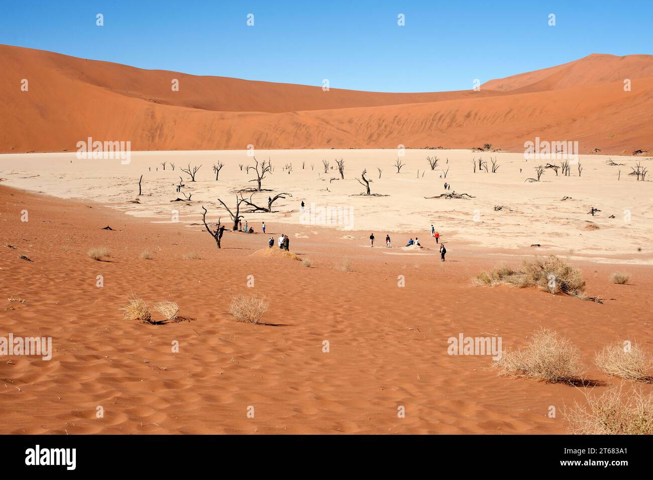 Namib Desert. Dunes and Deadvlei or Dead Vlei (white clay pan). Namibia ...