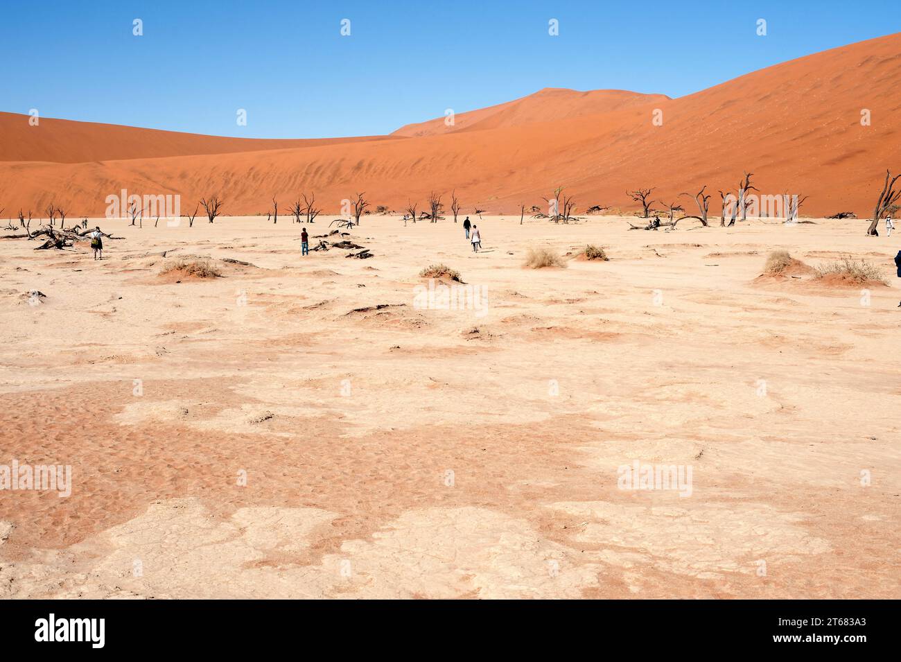 Namib Desert. Dunes and Deadvlei or Dead Vlei (white clay pan). Namibia ...