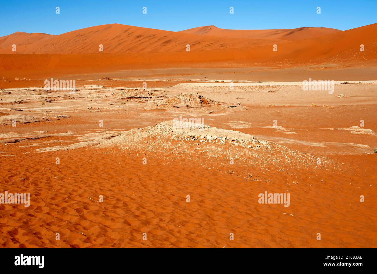 Namib Desert. Dunes and white clay pan. Namibia Stock Photo - Alamy