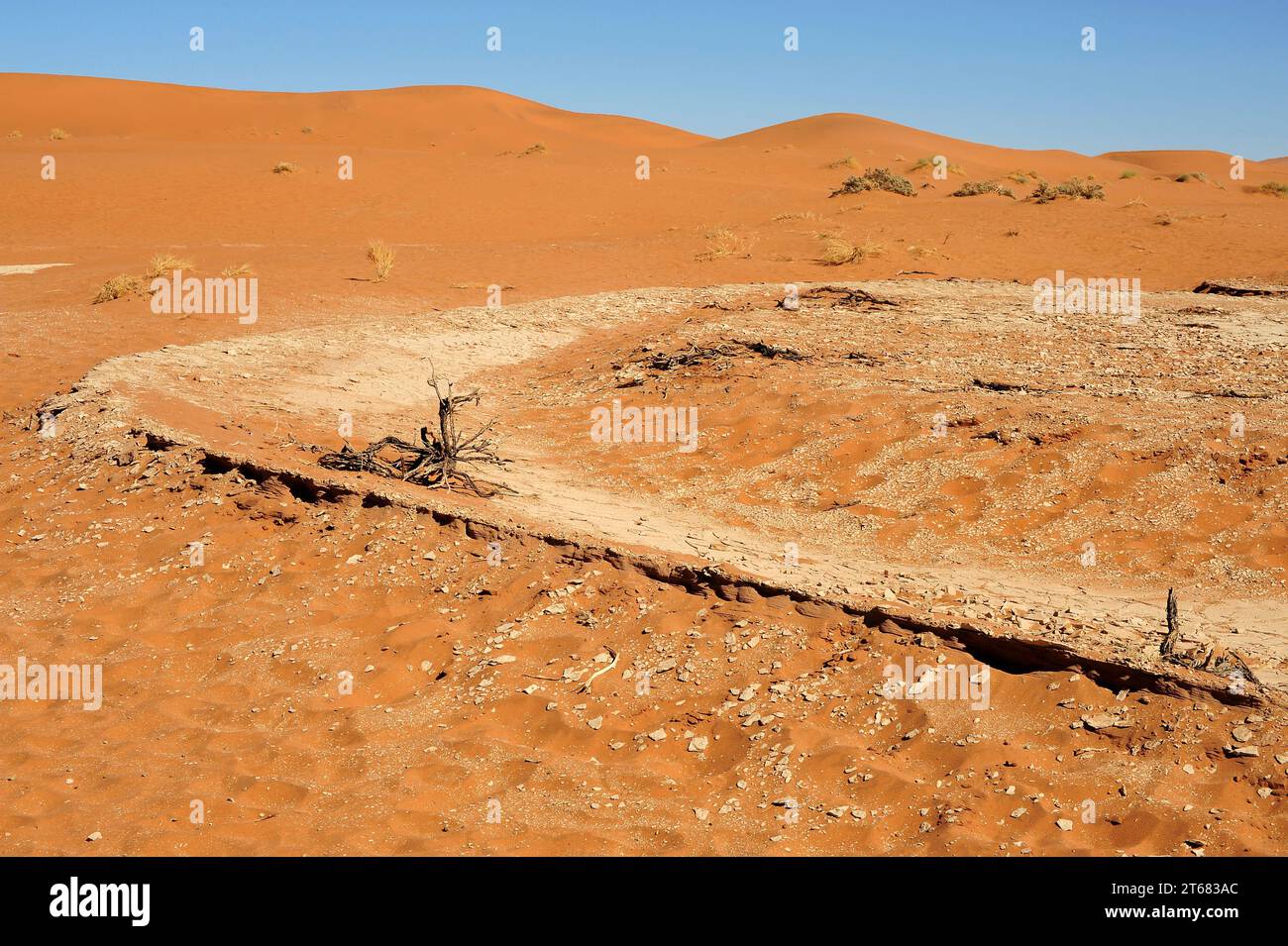 Namib Desert. Dunes and white clay pan. Namibia Stock Photo - Alamy