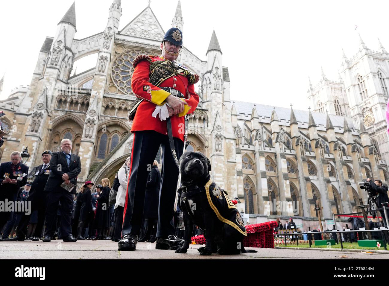 A soldier of the Staffordshire Regiment and his mascot dog Watchman Six ...