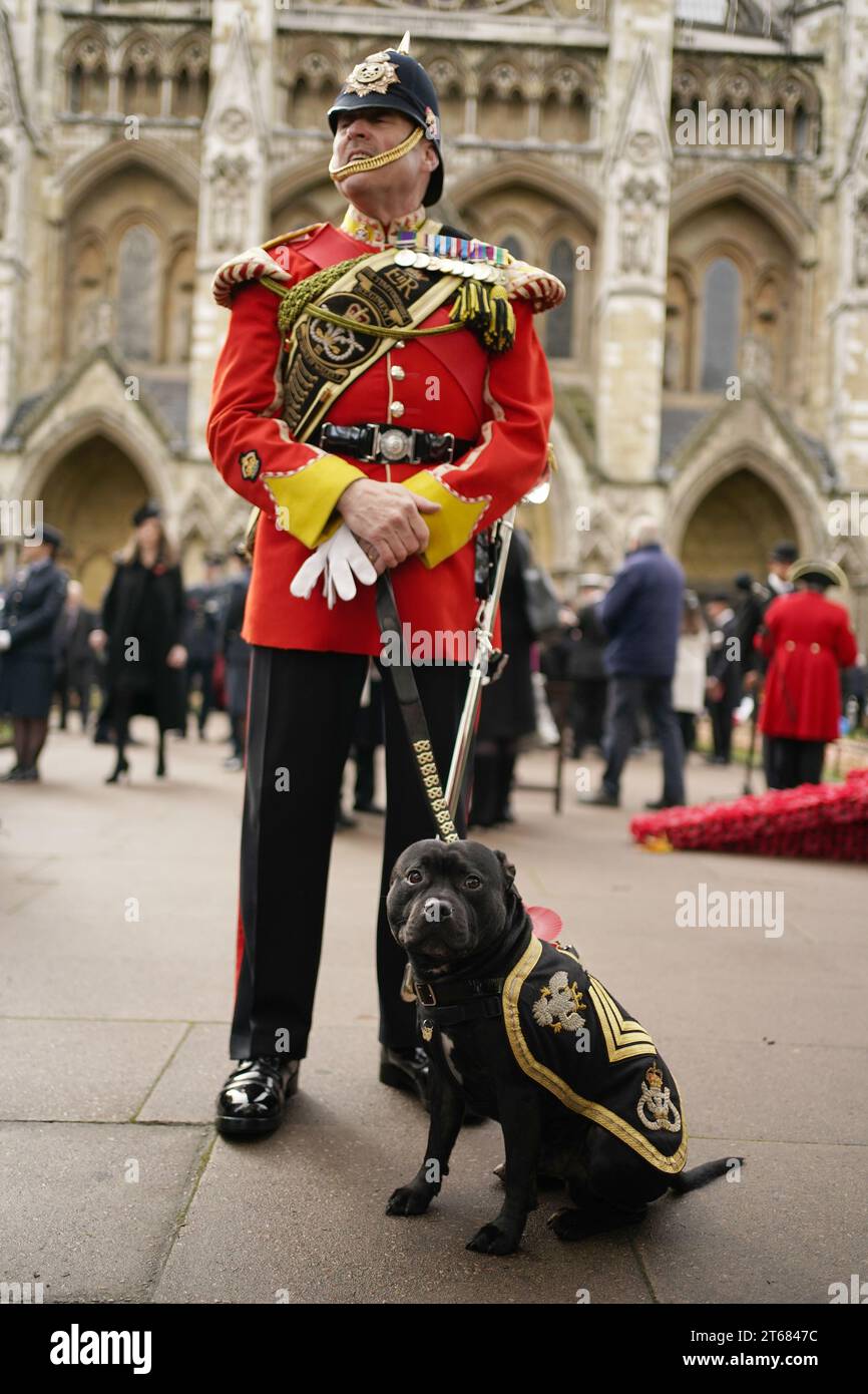 Greg Hedges with Watchman VI, a Staffordshire bull terrier and mascot ...