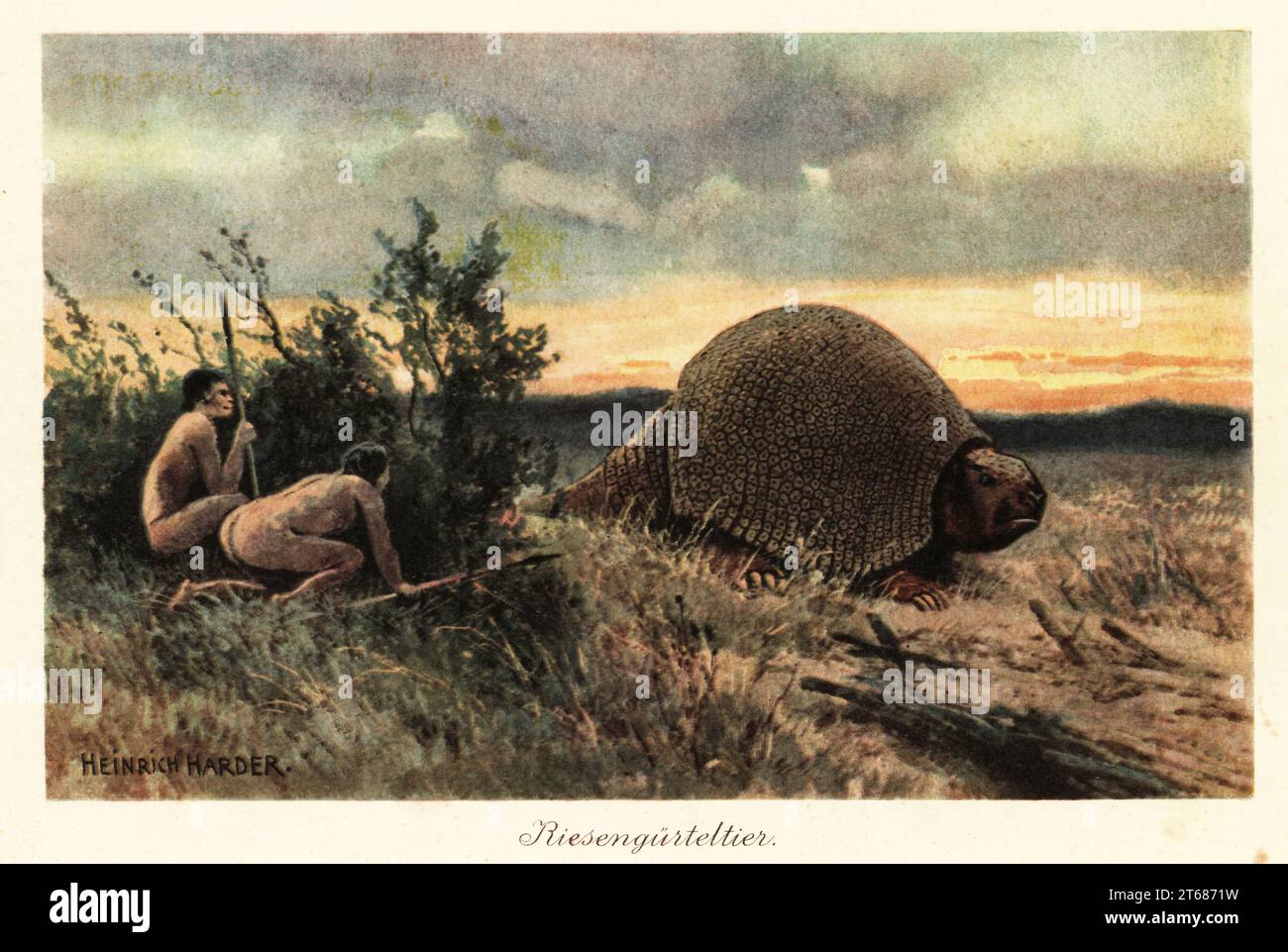 Glyptodontidae Fossil Record Of The Xenarthra