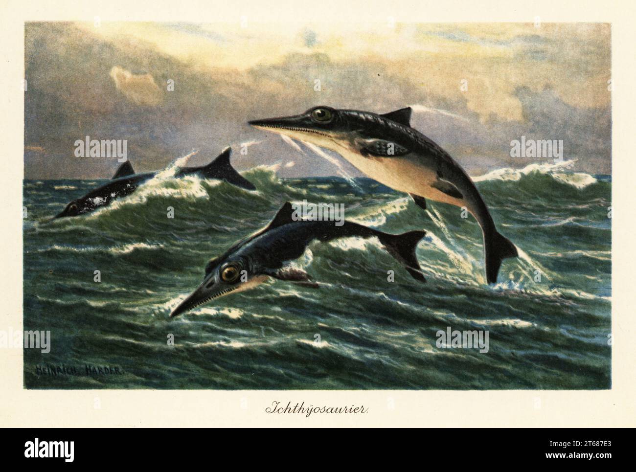 Extinct ichthyosaurs, Ichthyosaurus communis, jumping above the ocean ...
