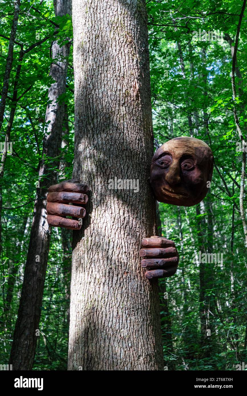 An art trail, with animal sculptures by Andrew Lyons from a redwood ...