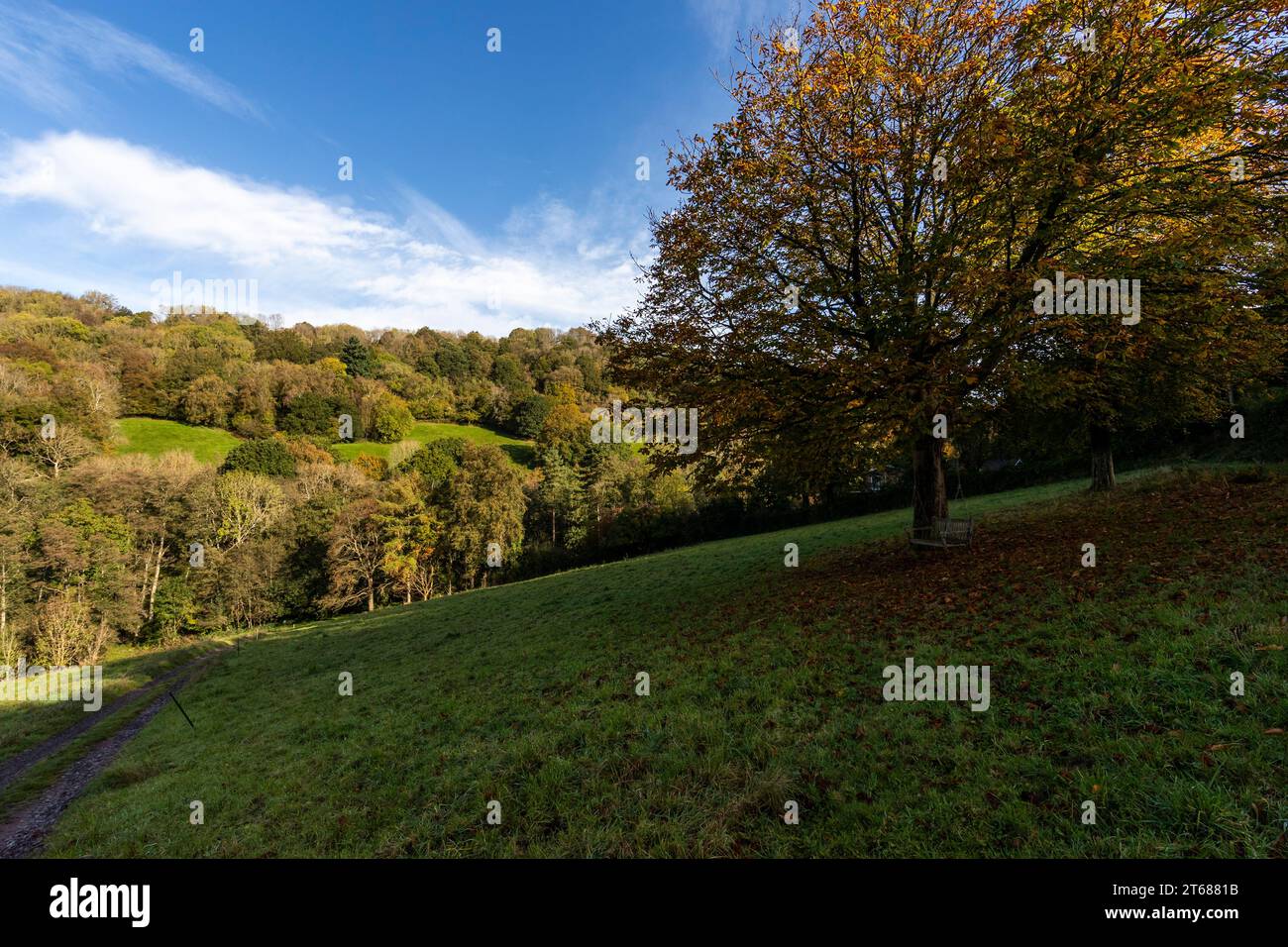 Wildwood valley hi-res stock photography and images - Alamy
