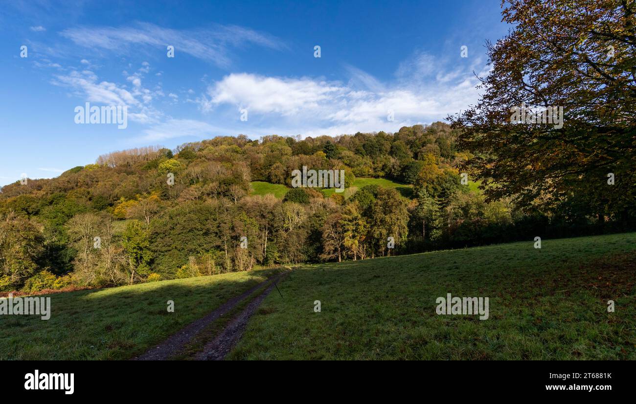 Wildwood valley hi-res stock photography and images - Alamy
