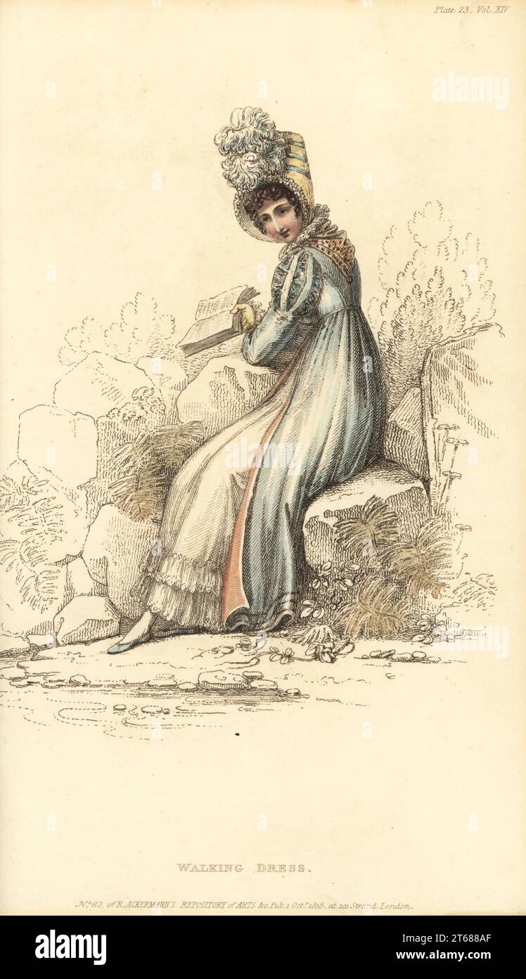 Straw neck hi-res stock photography and images - Alamy