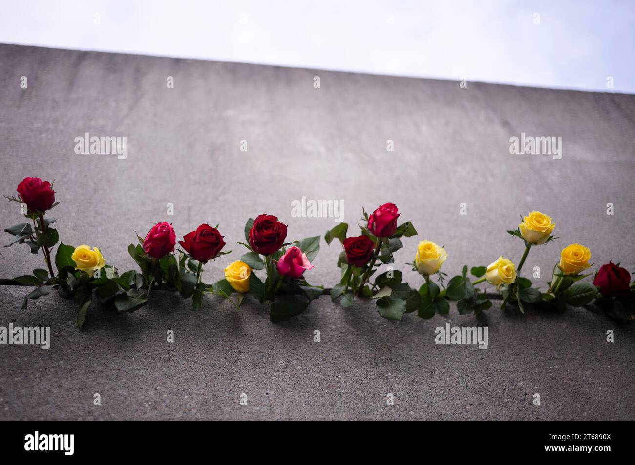 Flowers pile up in a crack in the Berlin Wall for the victims of the ...