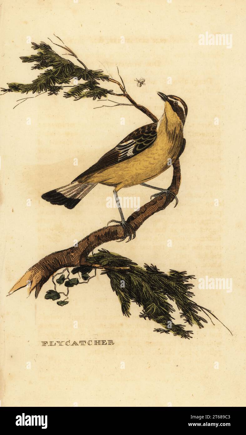 Korean stereotype hi-res stock photography and images - Alamy