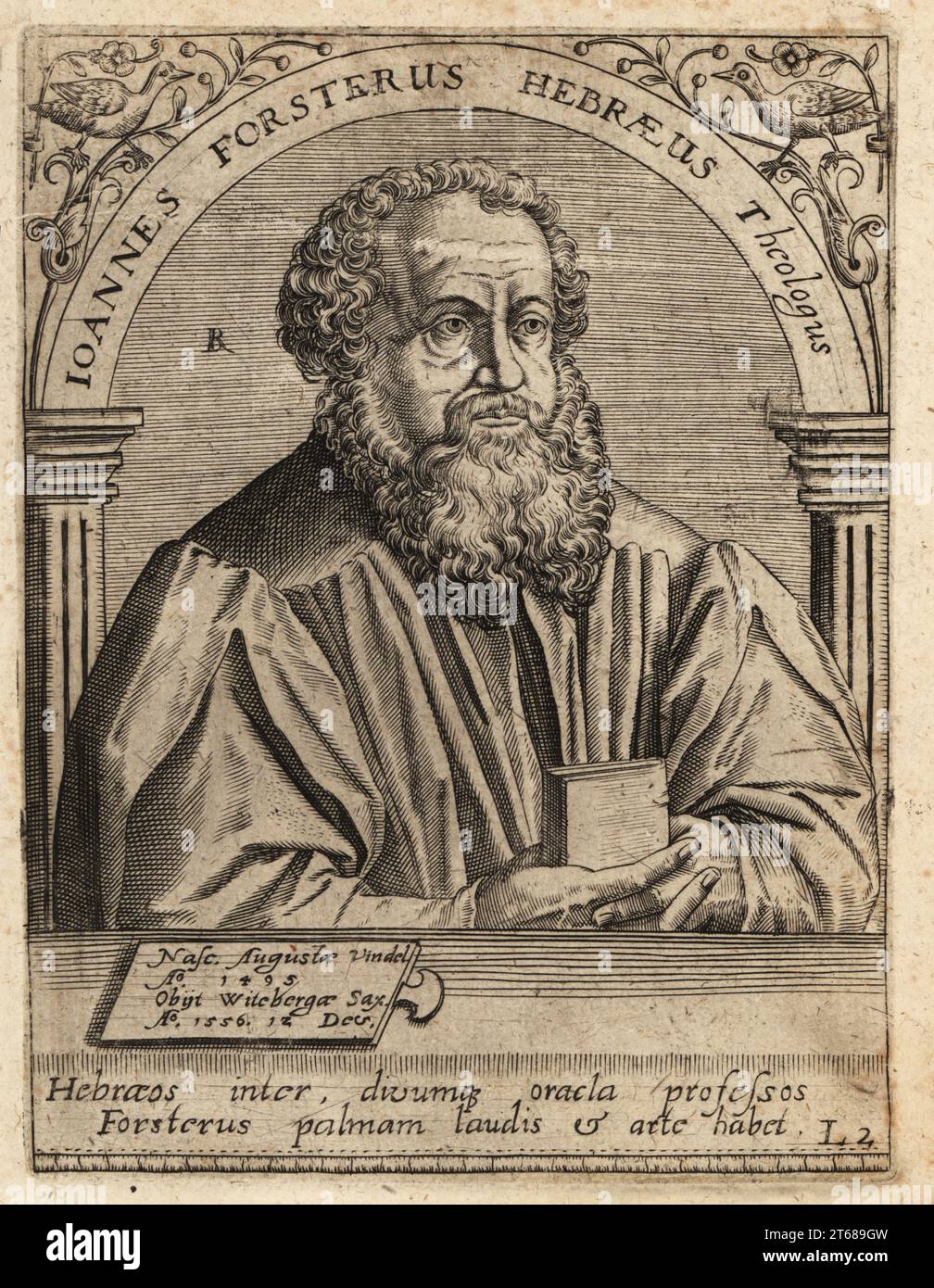 Ioannes forsterus hi-res stock photography and images - Alamy