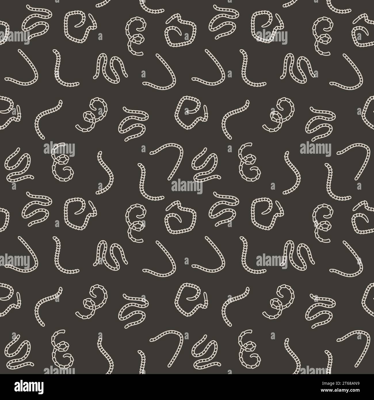 Segmented Worms Stock Vector Images Alamy
