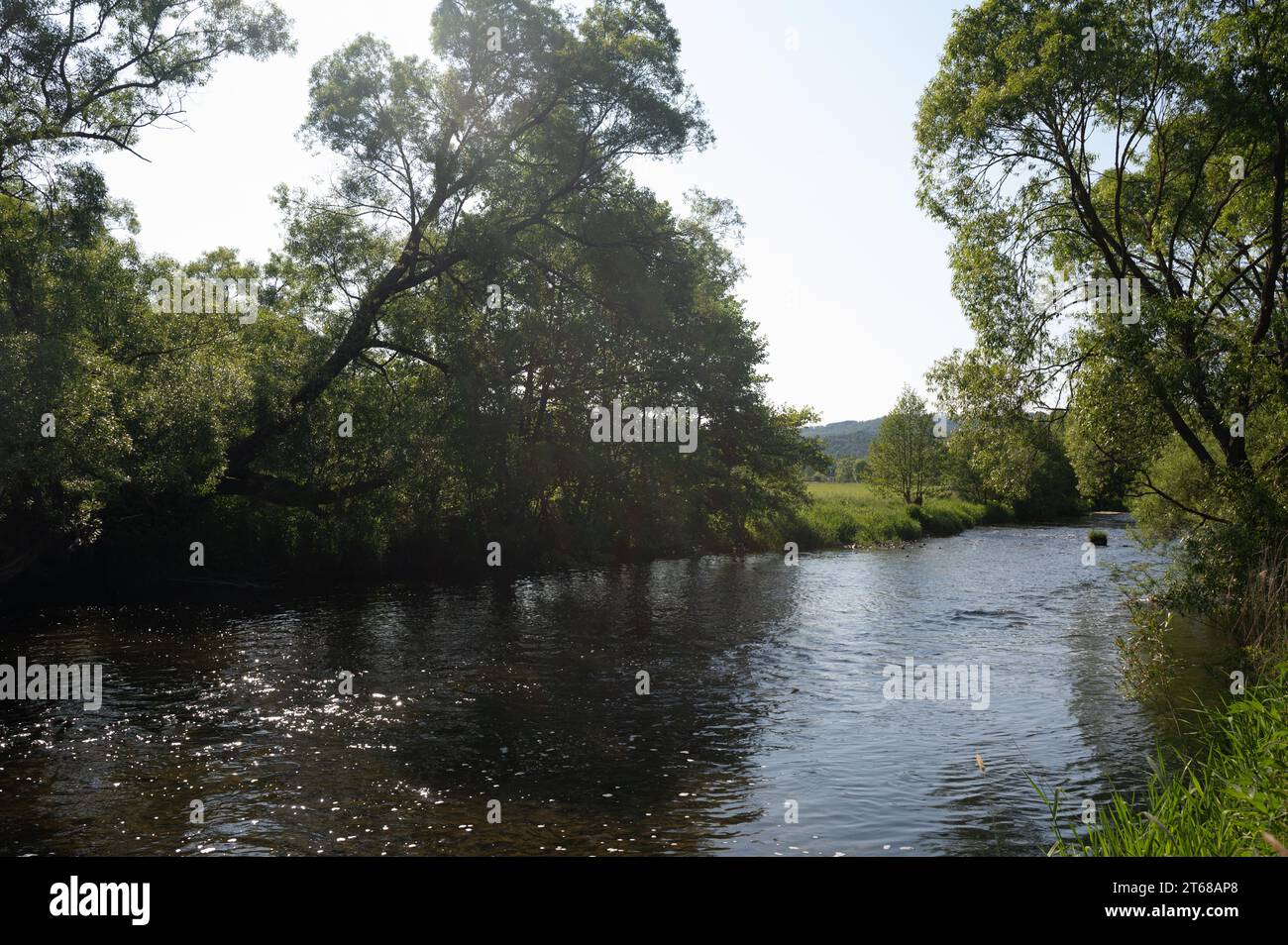 The Eder - A river in Germany in a green landscape Stock Photo - Alamy