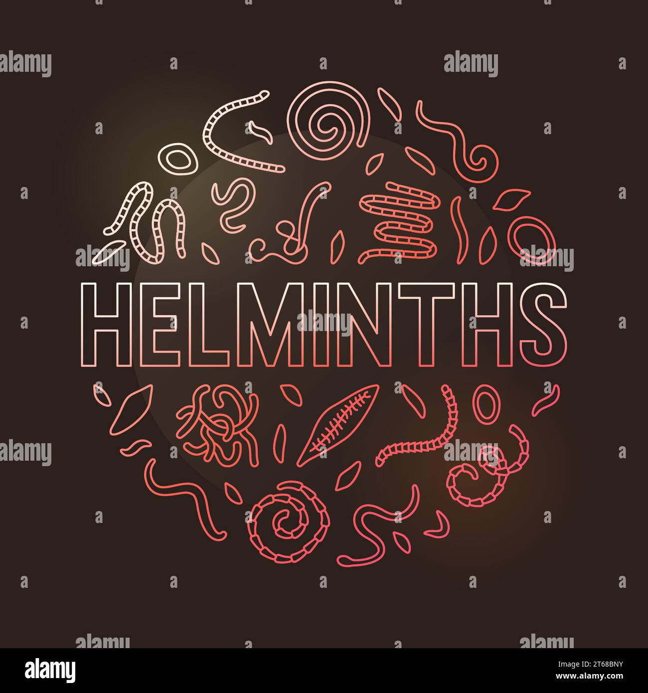Hookworm Stock Vector Images - Alamy