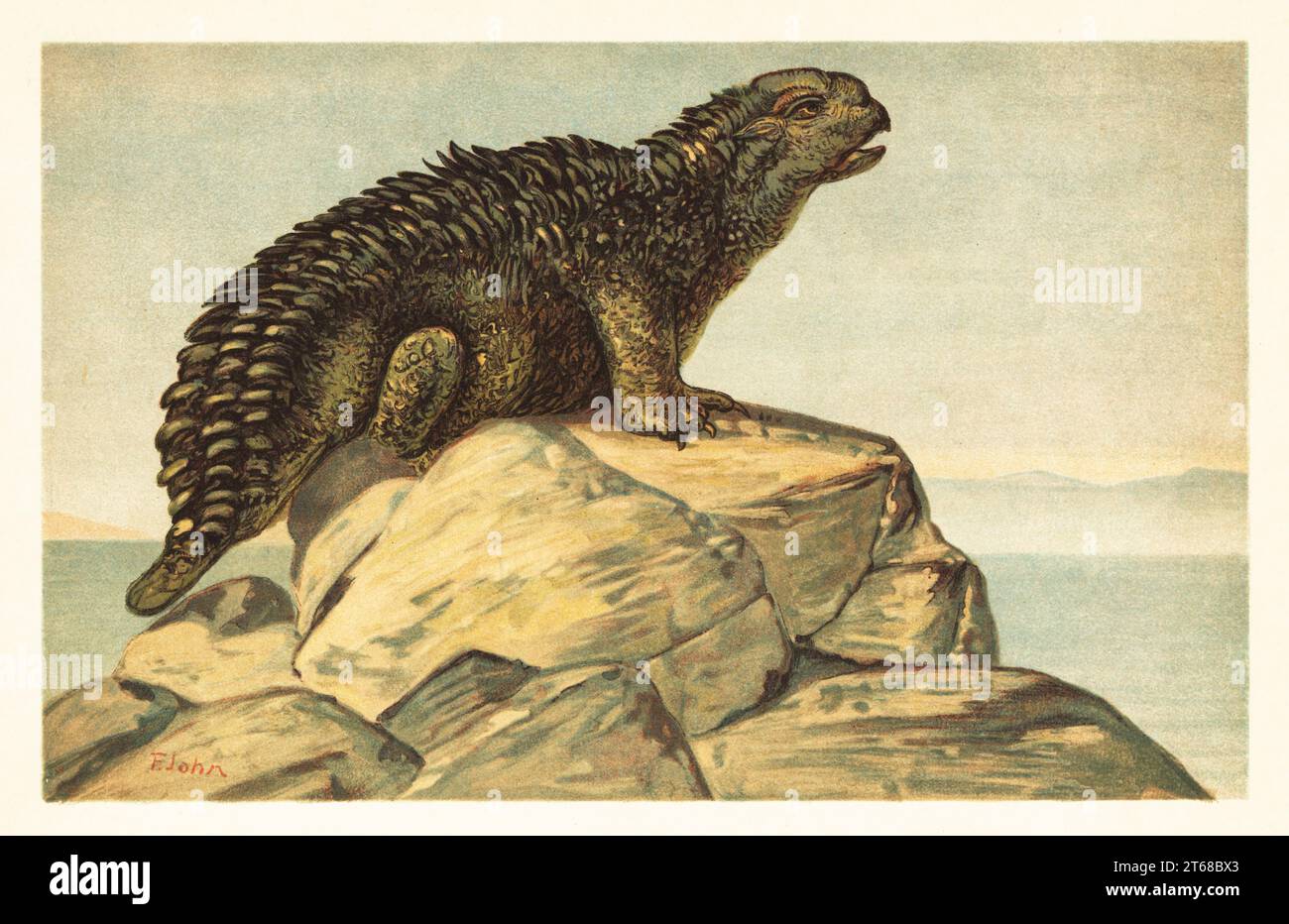 Hylaeosaurus armatus, extinct herbivorous ankylosaurian dinosaur of the ...