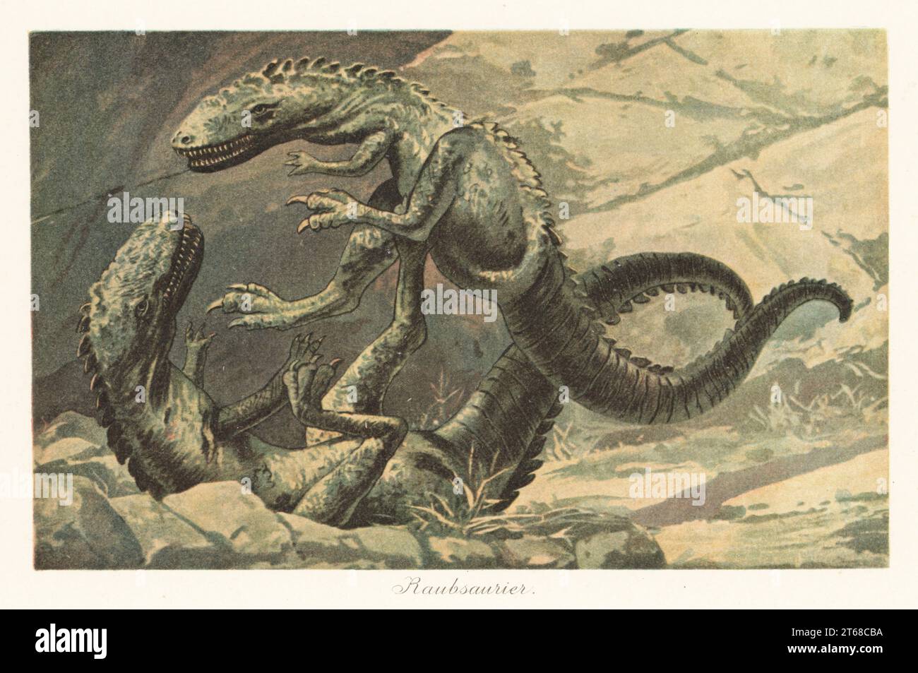 Reconstruction of two dinosaurs in battle. Dryptosaurus aquilunguis ...