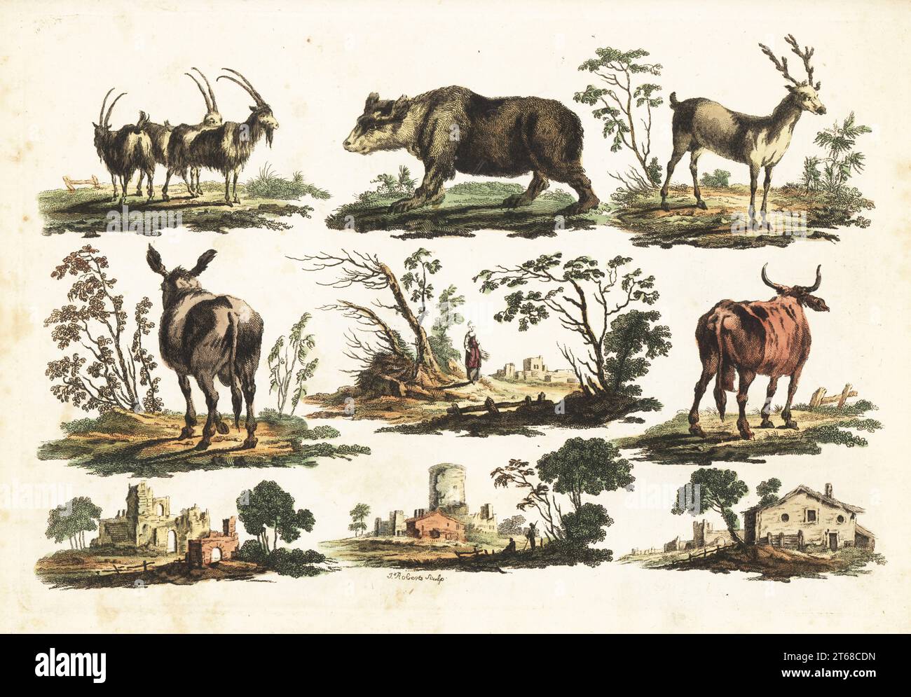 Group of rustic animals, 18th century. Deer, goat, donkey, cow, bear ...