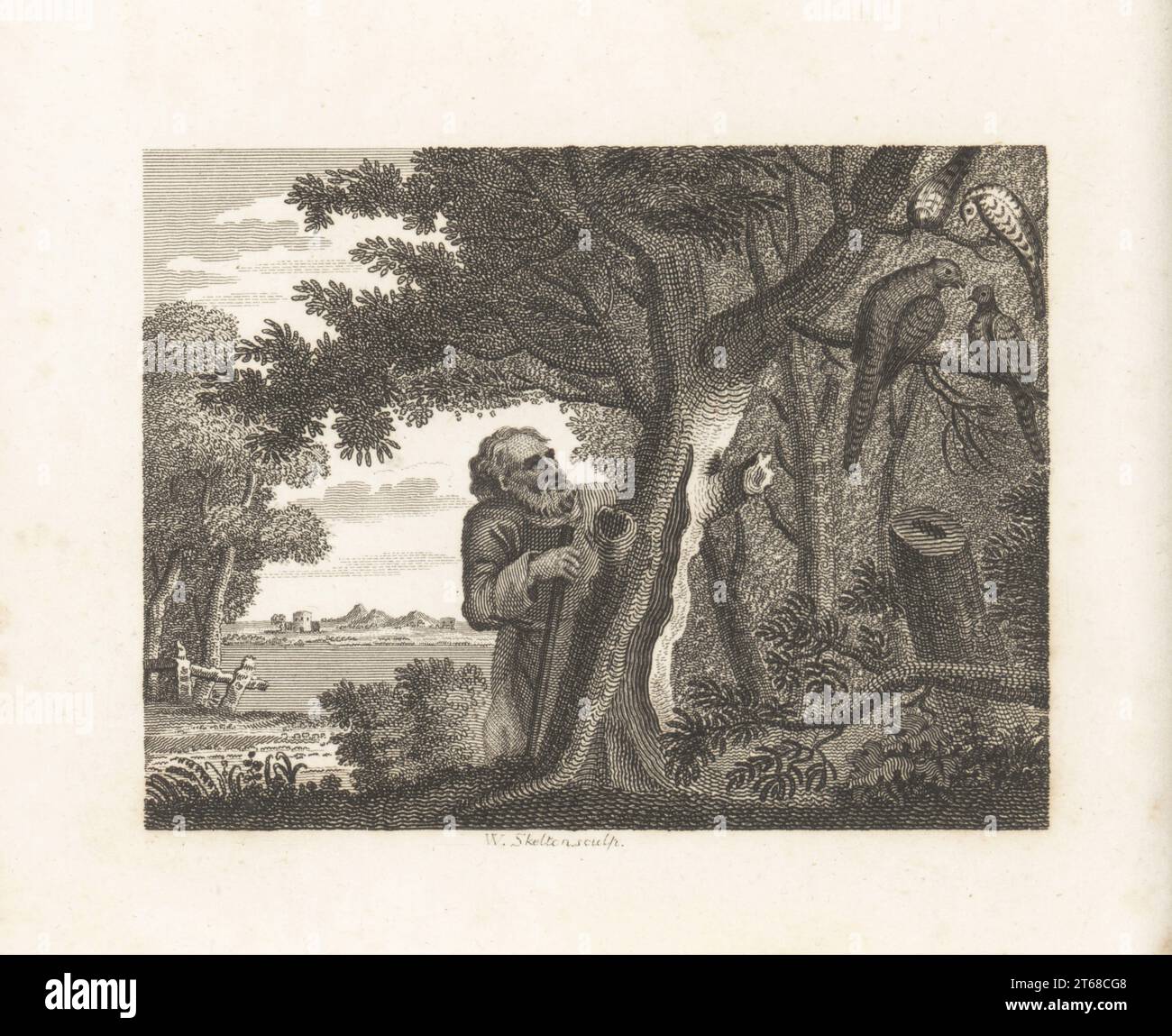 The Philosopher and the Pheasants. A bearded old man with staff stands ...