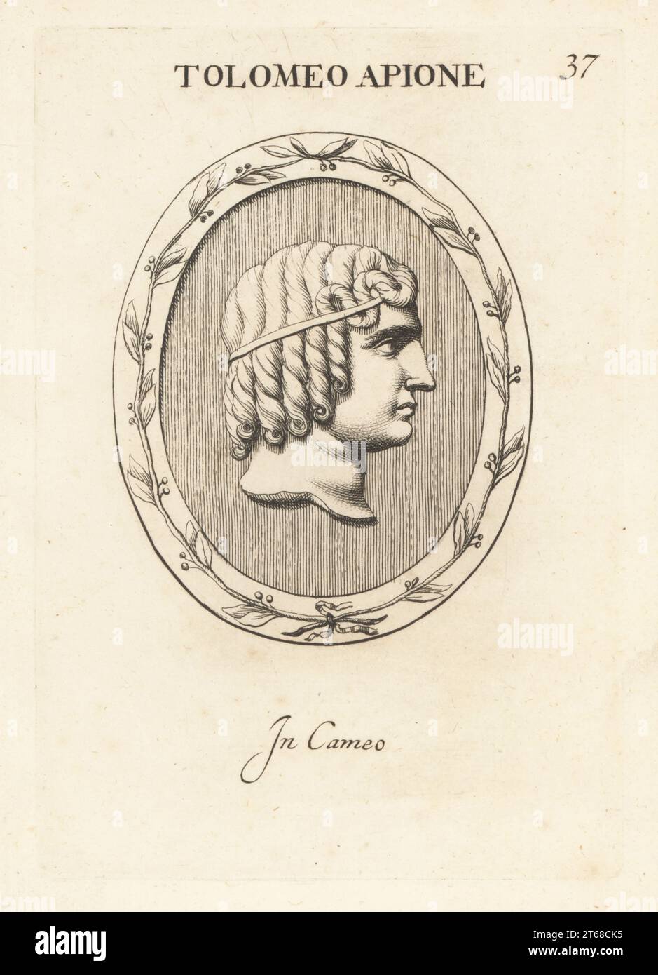 Bust of Ptolemy Apion or Apion, c. 150 BC 96 BC, last Greek King of Cyrenaica, with hair in ...