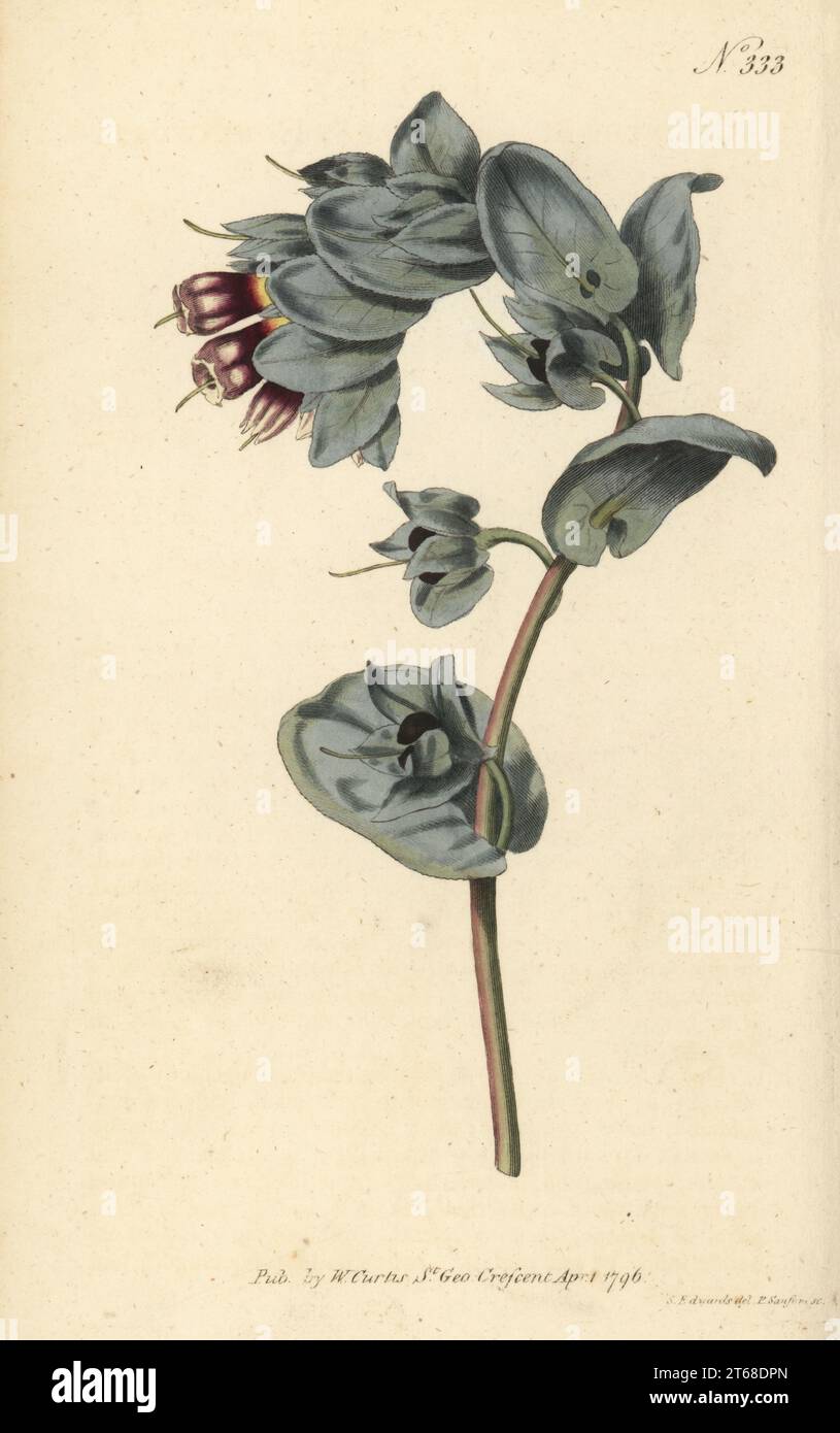 Planta stephen hi-res stock photography and images - Alamy